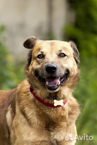 Мишка ищет свою семью