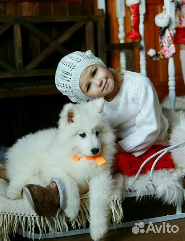 Красавцы и красотули. Возмежен обмен