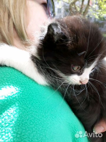 Малыши-карандаши ищут мам и пап