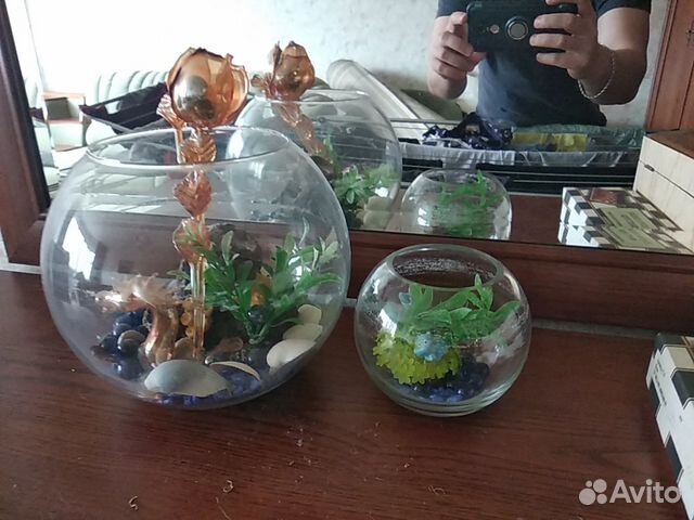 Аквариму для рыб