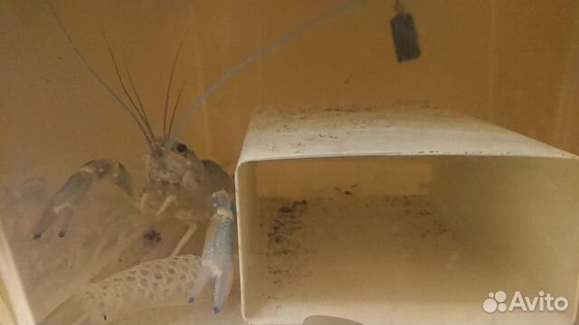 Узв для аккр