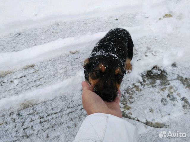 Милашка