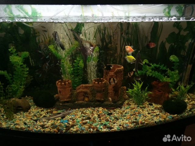 Продам или поменяю на морской меньшего объема