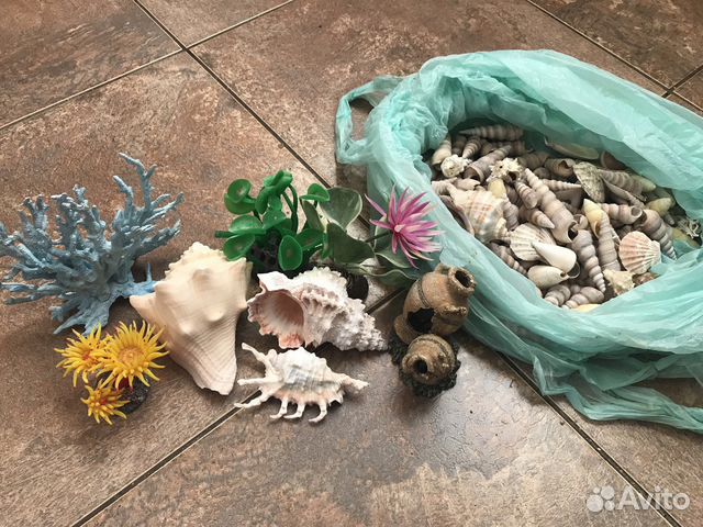 Декор для аквариума