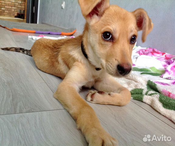 Малышка Лили