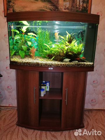 Аквариум Juwel (Ювель) 180 л