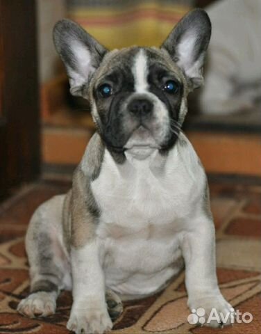 Ждём родителей