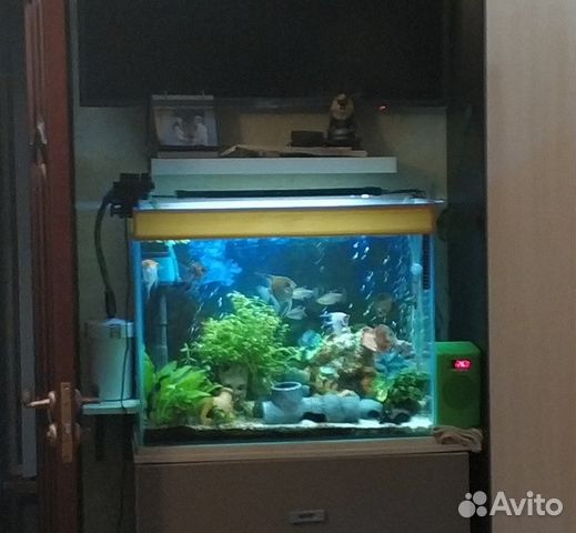 Оборудование для аквариума