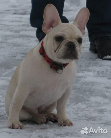 Сладкие Конфетки