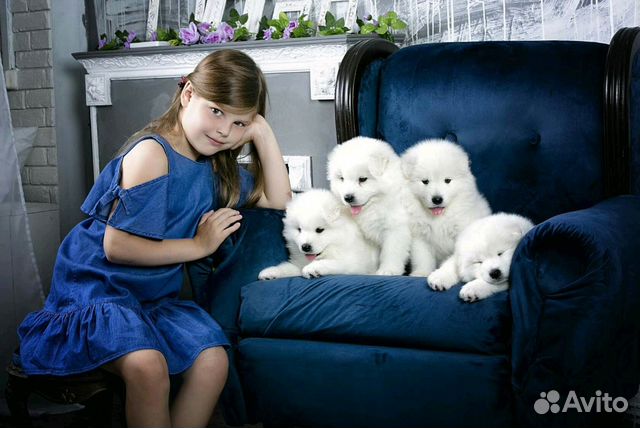 Счастье самоедское