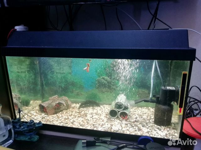 Аквариум 54 литра