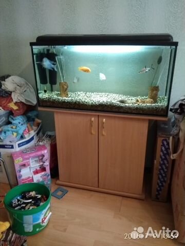 Аквариум 150л, тумба дсп и все аксессуары
