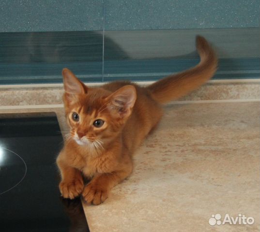 Сомалийский мальчик