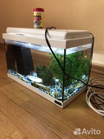 Аквариум с компрессором и фильтром