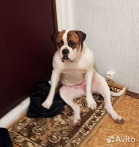 Ищу жениха для девочки