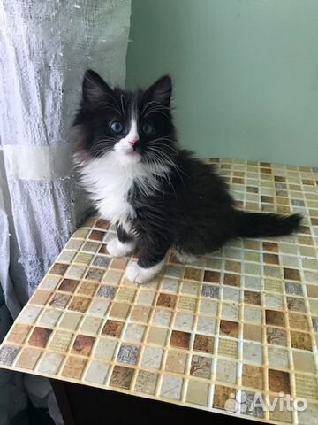 Я тебе нужен