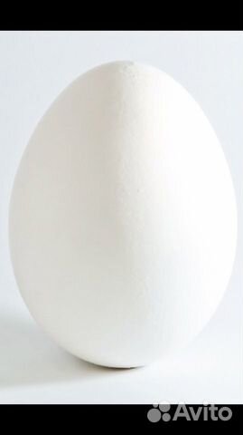 Яйцо Бройлер Росс 308 инкубационное