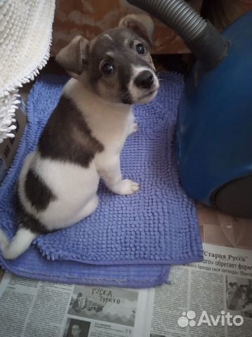 Малышка Мира