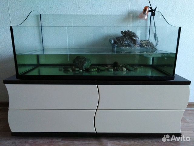 Аквариум с черепахами краснаухими