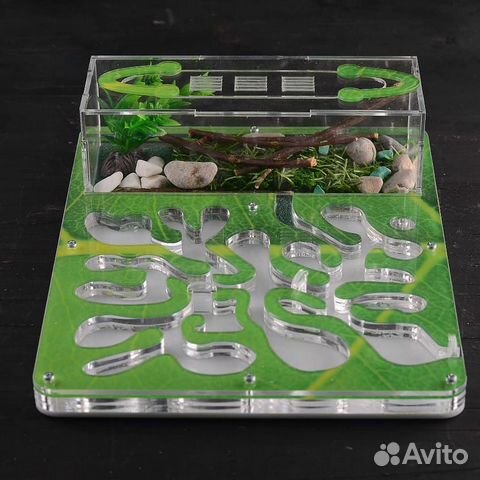 Муравьиная ферма