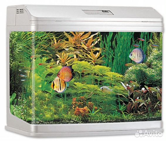 Jebo Аквариум для дома и офиса R375, серебро, 144