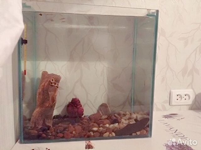 Аквариум 35 литров + рыбки