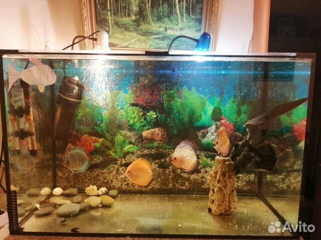 Аквариум 222л
