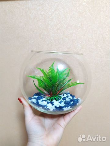 Аквариумы, декор, растения