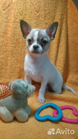 Красавец мужчина