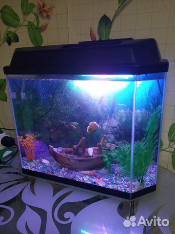 Аквариум