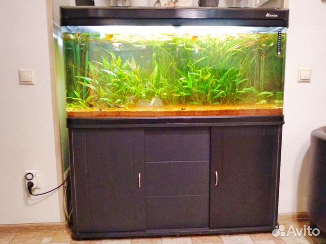Аквариум