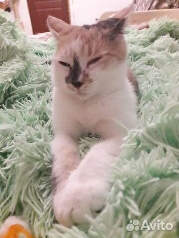 Малышка Адель, 2 мес