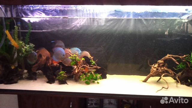 Морской белый песок для аквариума