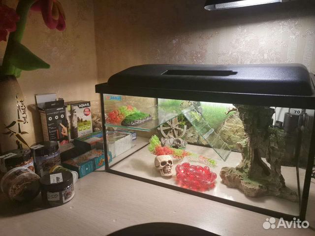 Комплект для черепахи, черепашник 70 л, фильтр, UV