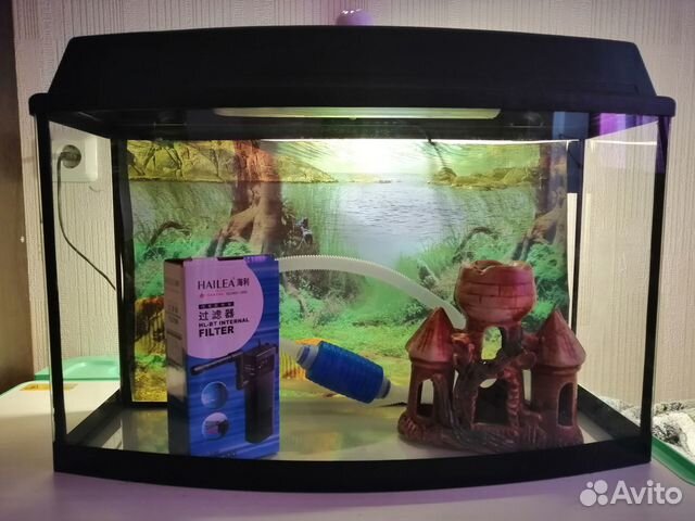 Аквариум панорамный