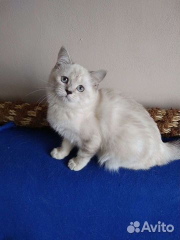 Кисулька- красатулька