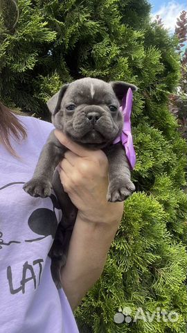 Юная Принцесса