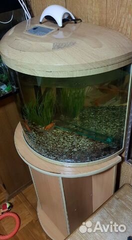 Бесшовный аквариум для рыб Jebo R 760 и тумба