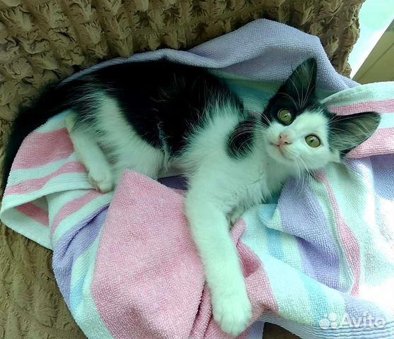 Найти семью за неделю. Отпускники уезжают