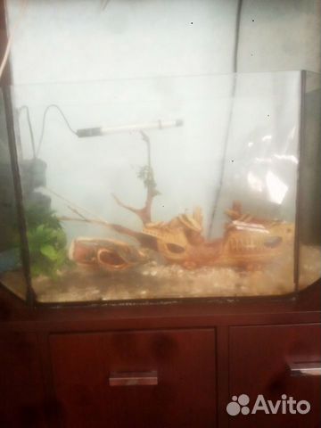 Аквариум панорамный 70л