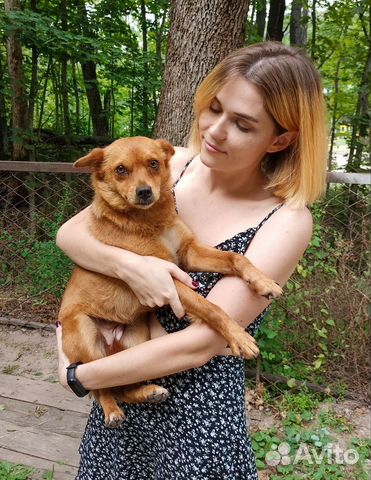 Малышку выбросили