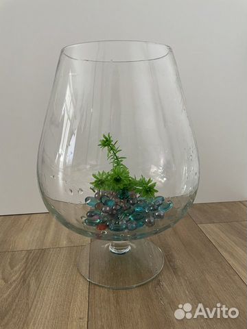 Аквариум для рыбки Петушок. Продаю