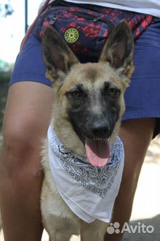 Спасите юную Дакоту, пока она ещё ребёнок и верит