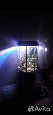 Аквариум