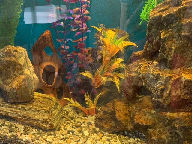 Украшения для аквариума