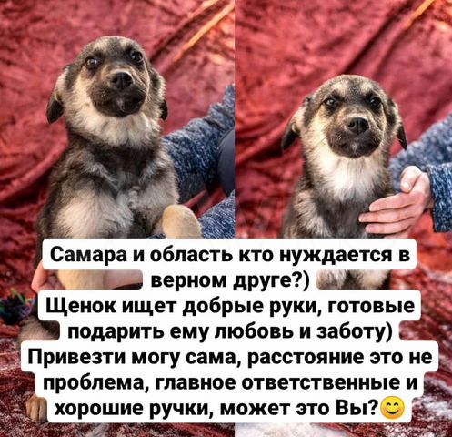 Кому счастье)