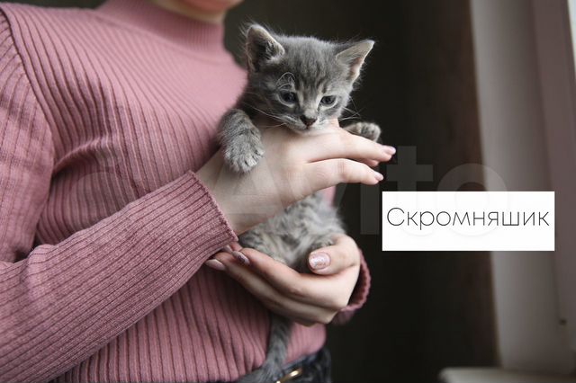 Покладистый и Нежный Ребенок Ищем Любящую семью