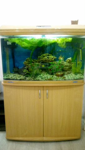 Аквариум 185 л